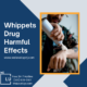 Whippets Drug Whipped Cream Nitrous Oxide Inhalant Abuse