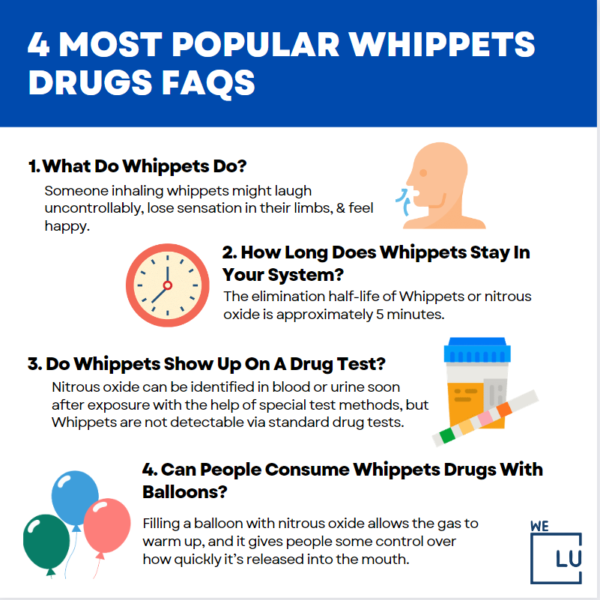 Whippets Drug Whipped Cream Nitrous Oxide Inhalant Abuse