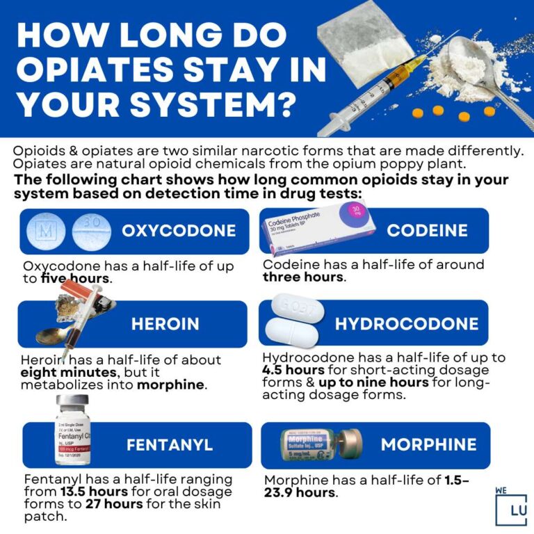 How Long Do Opiates Stay In Your System? Blood, Urine, Body