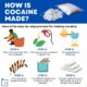 What Is Cocaine Made Out Of? How Is Cocaine Made? Facts