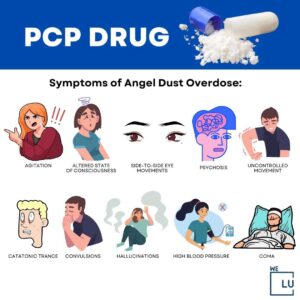 What Is Angel Dust Drug? | We Level Up Lawrenceville NJ