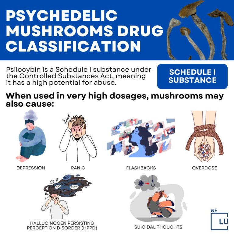 What Are Mushrooms Drug? Psilocybin/Psilocin Effects & Facts